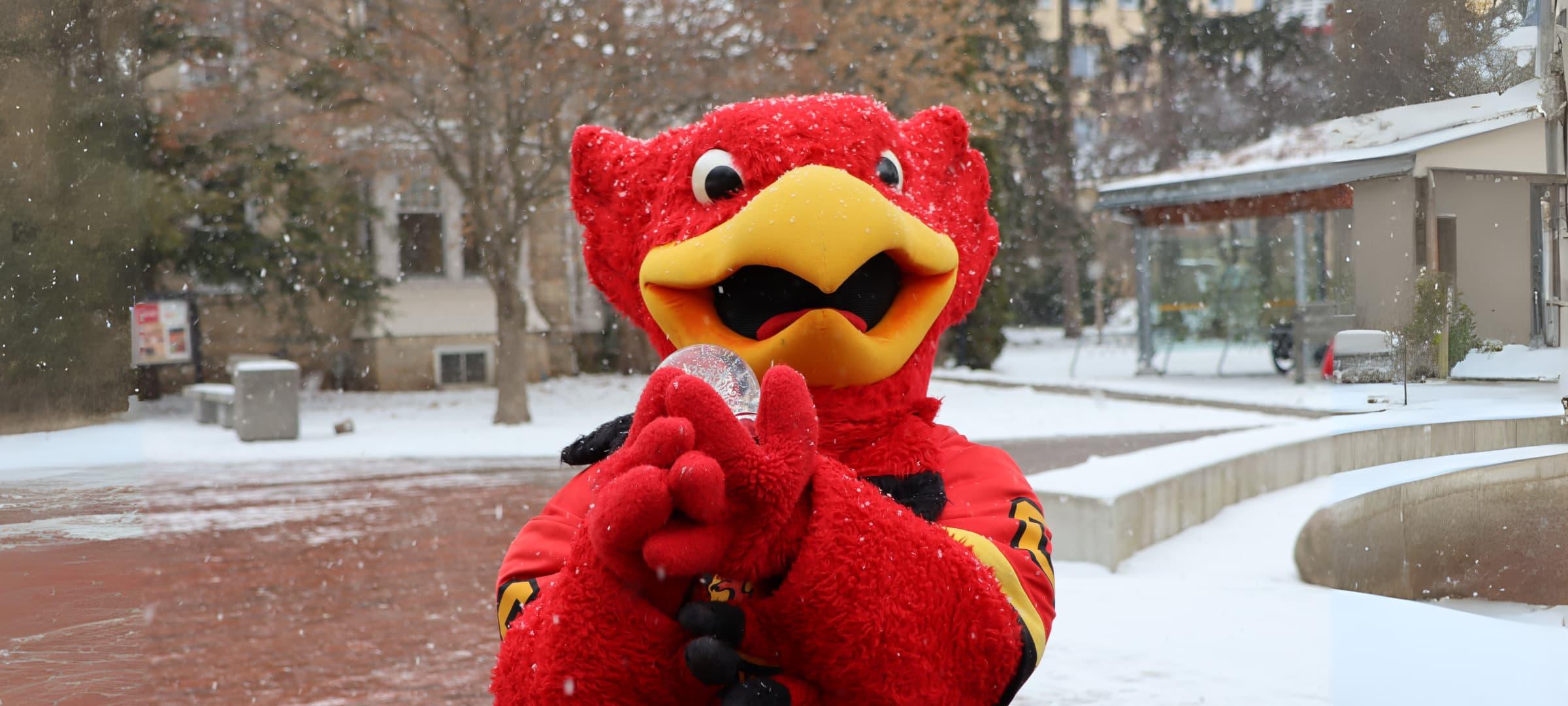 Snow Days Winter Orientation | University of Guelph