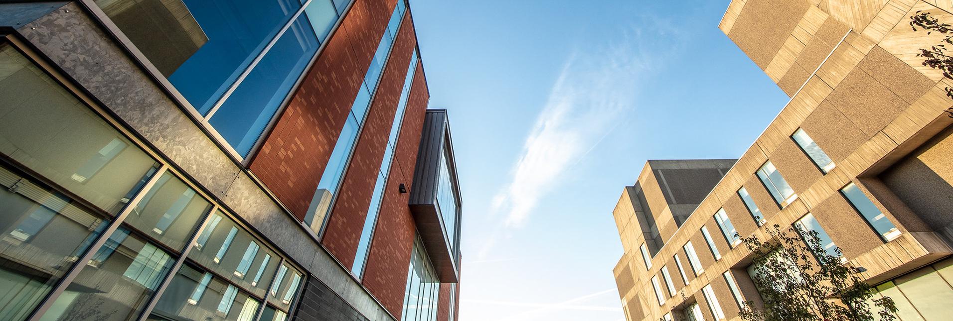 Contact the College of Engineering | University of Guelph