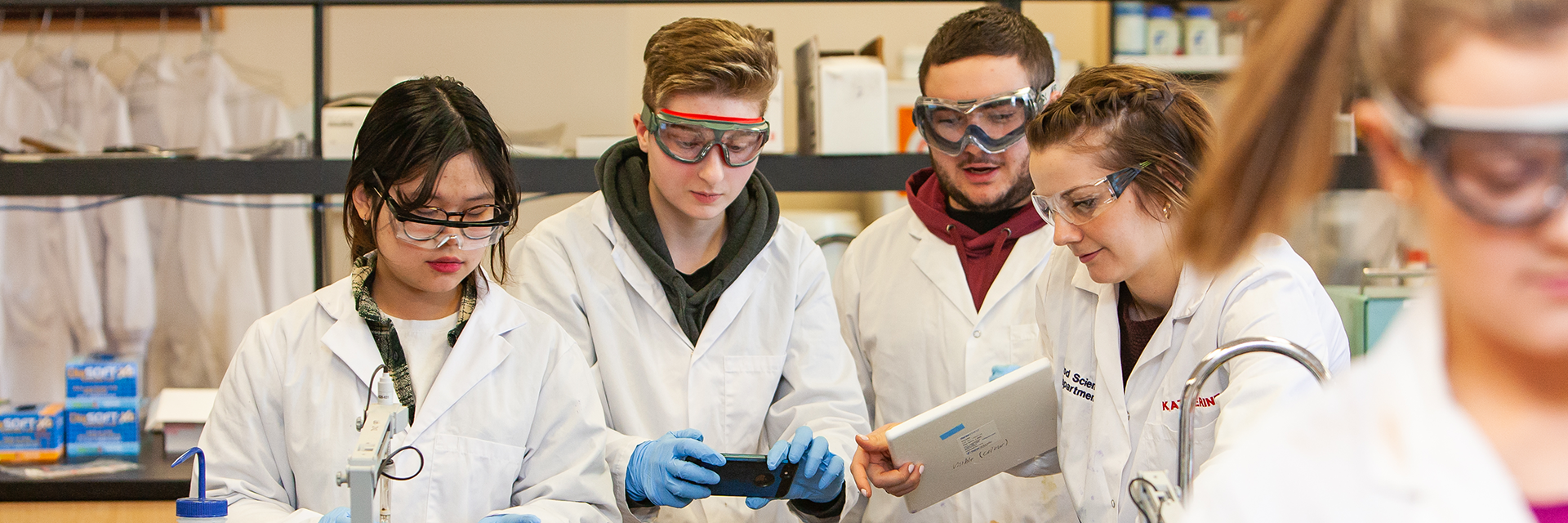 Undergraduate Programs in Food, Agriculture, Communities and the ...