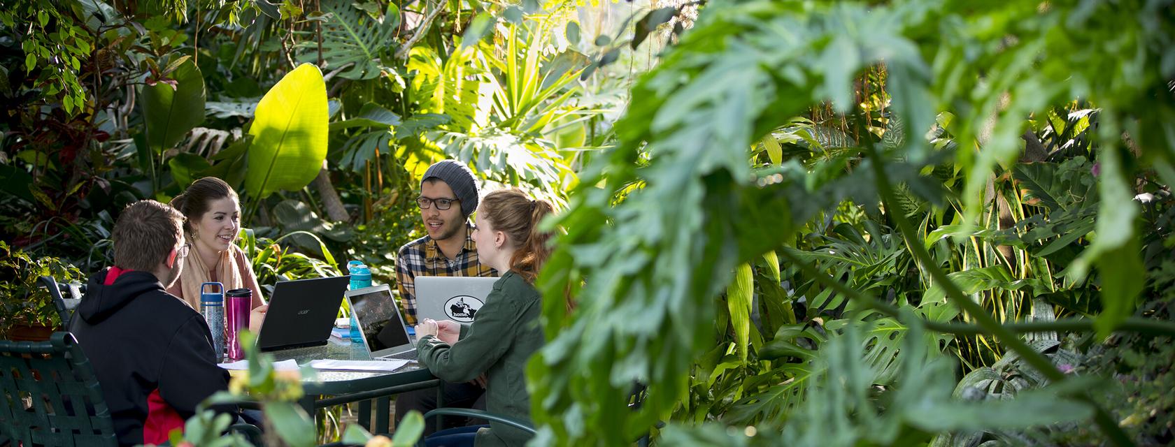 Student Wellness and Experience | University of Guelph