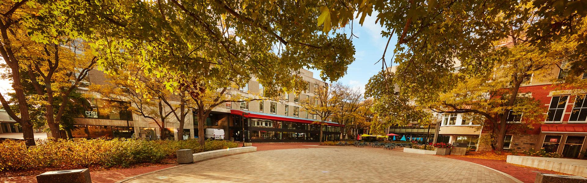 Get Involved for CSAHS Alumni & Friends | University of Guelph