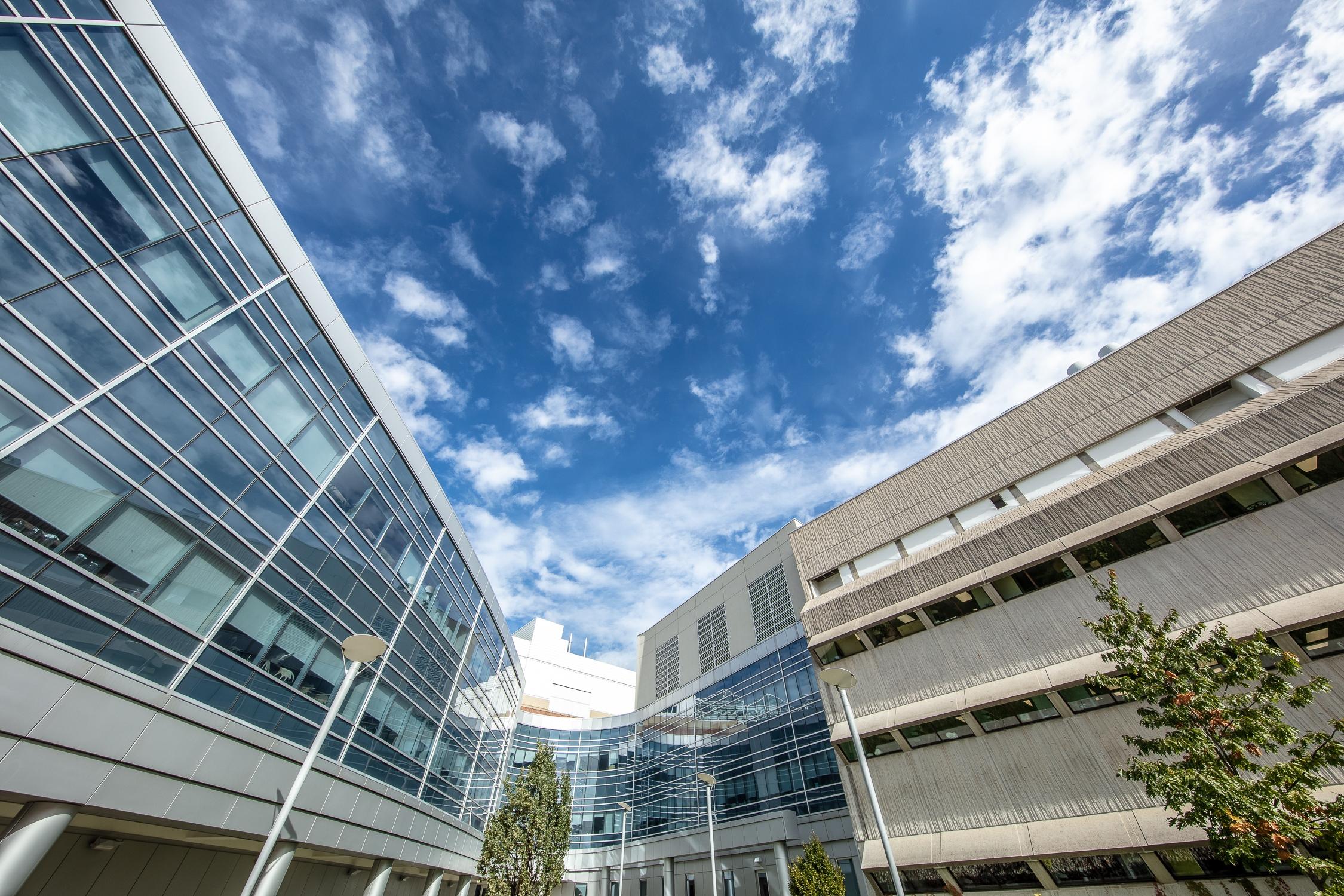 Contact the Department of Chemistry | University of Guelph