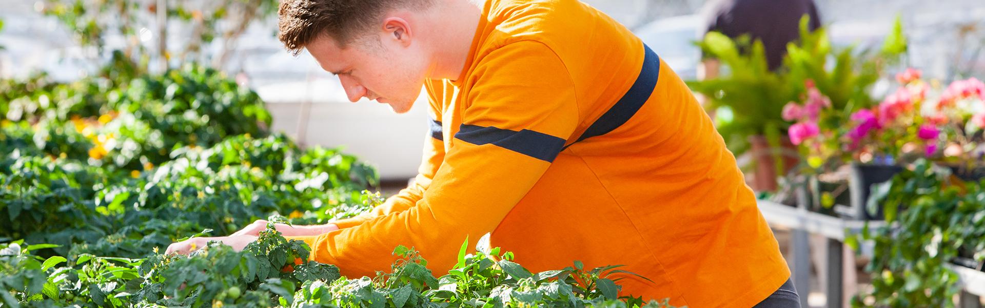 Crop Science | University of Guelph