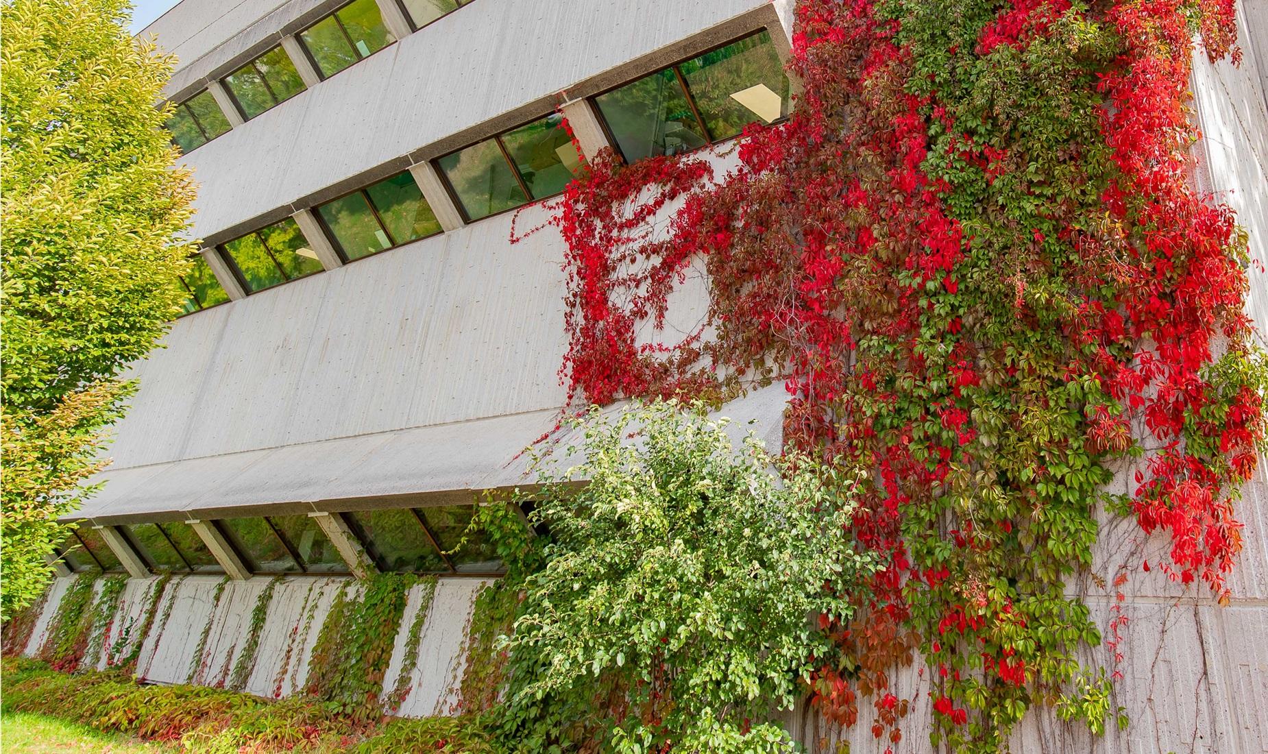 Contact the Department of Mathematics & Statistics | University of Guelph